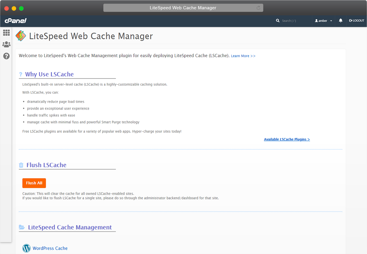 cPanel Web Hosting in Germany | Lightning-Fast & Rock-Solid | MaxterHost